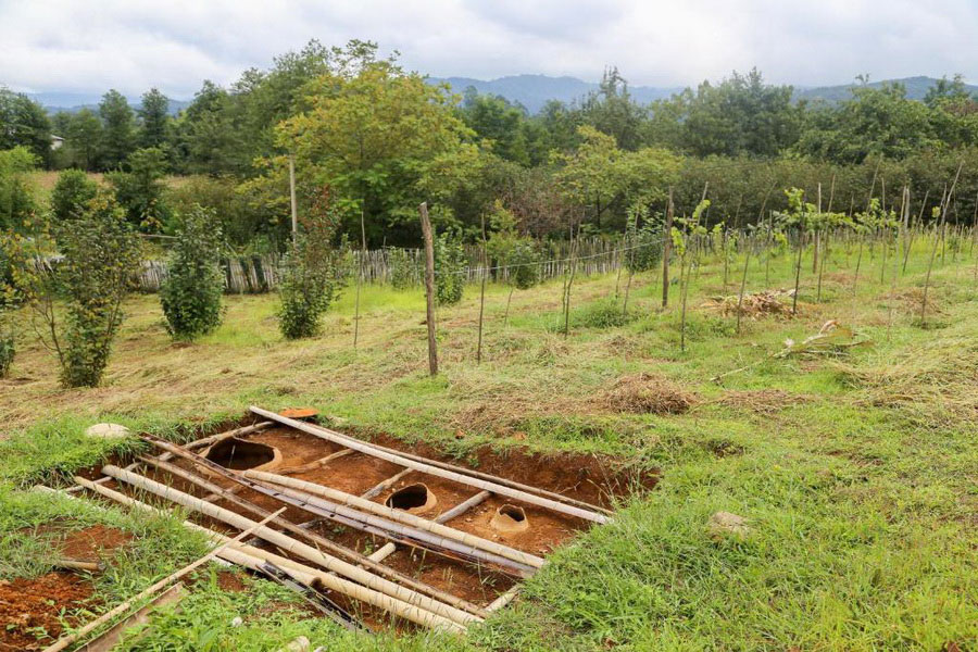 Komli Historic Farmhouse Guest House, Guria