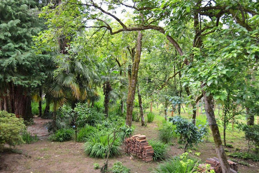 Menabde Winery Guest House, Guria