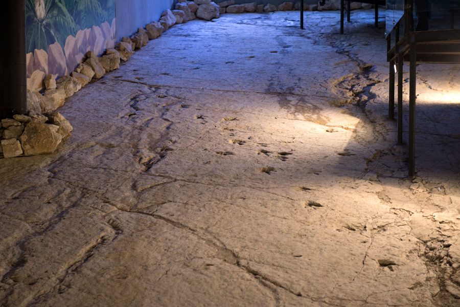 Sataplia Reserve – Georgian Park of Jurassic Period